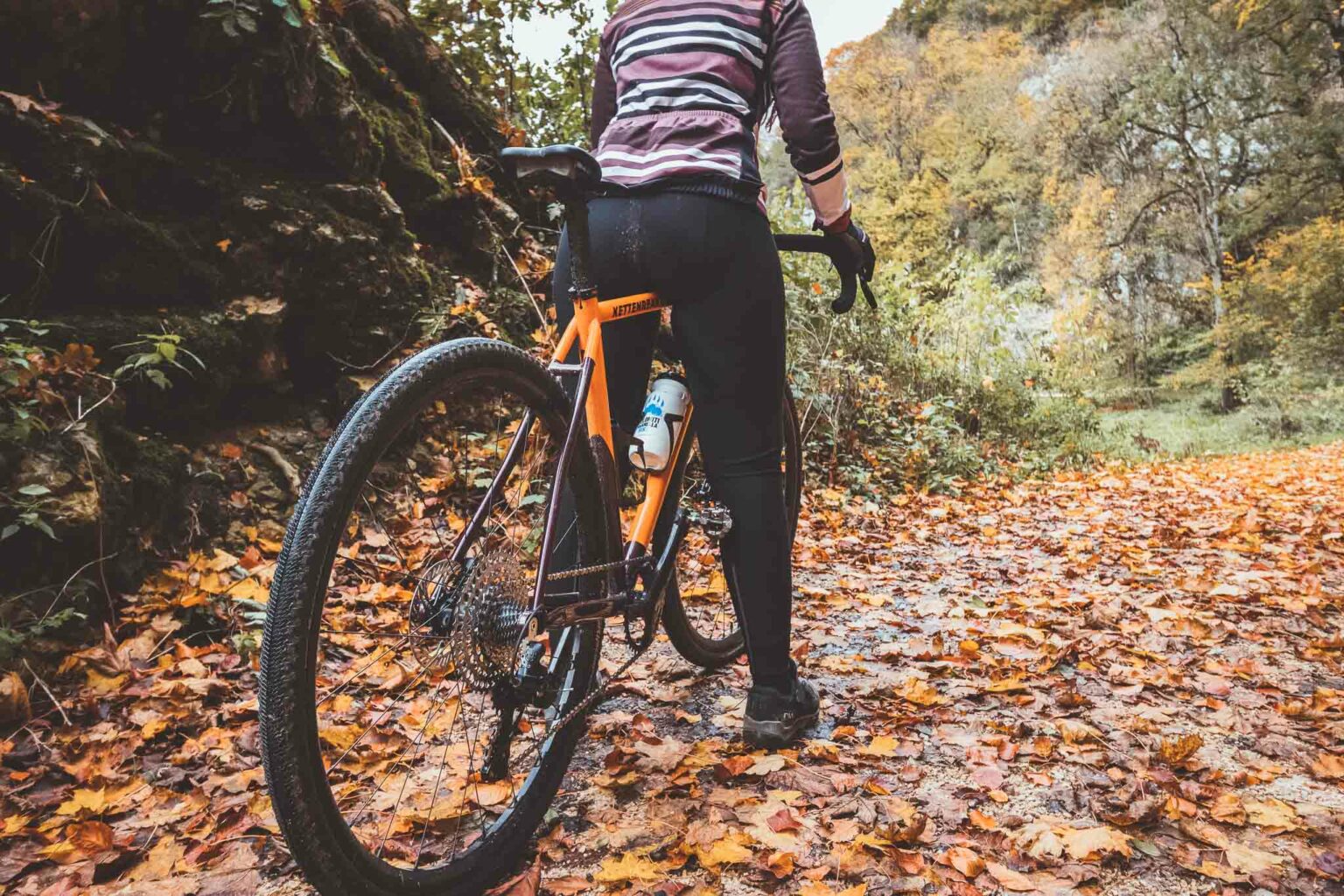 Radfahren im Herbst - Sicher durch die bunte Jahreszeit | fitnesswelt.com